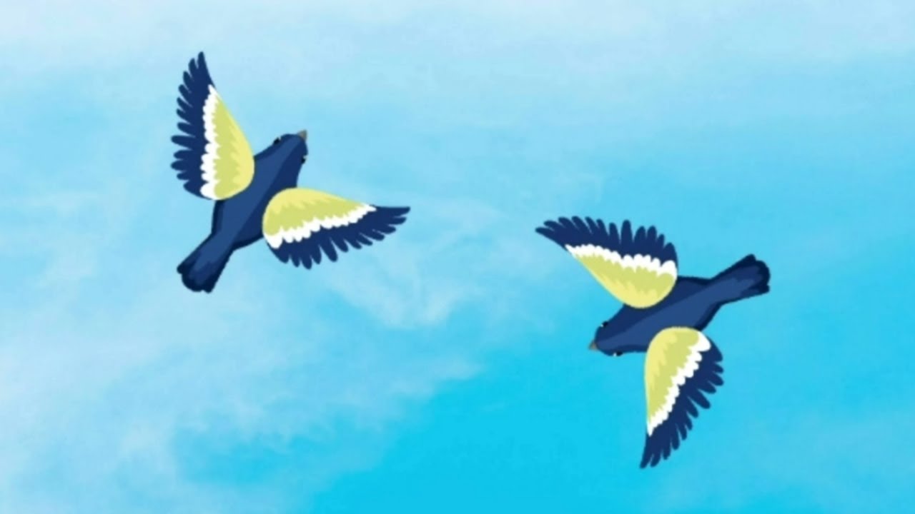 CAT GAMES ON SCREEN - Catching Birds! Video for Cats to Watch (1 hour ...