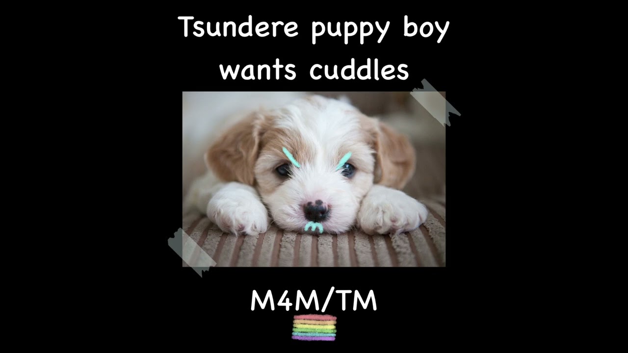 ASMR || Puppy boy wants cuddles [Roleplay][M4M/TM] - YouTube