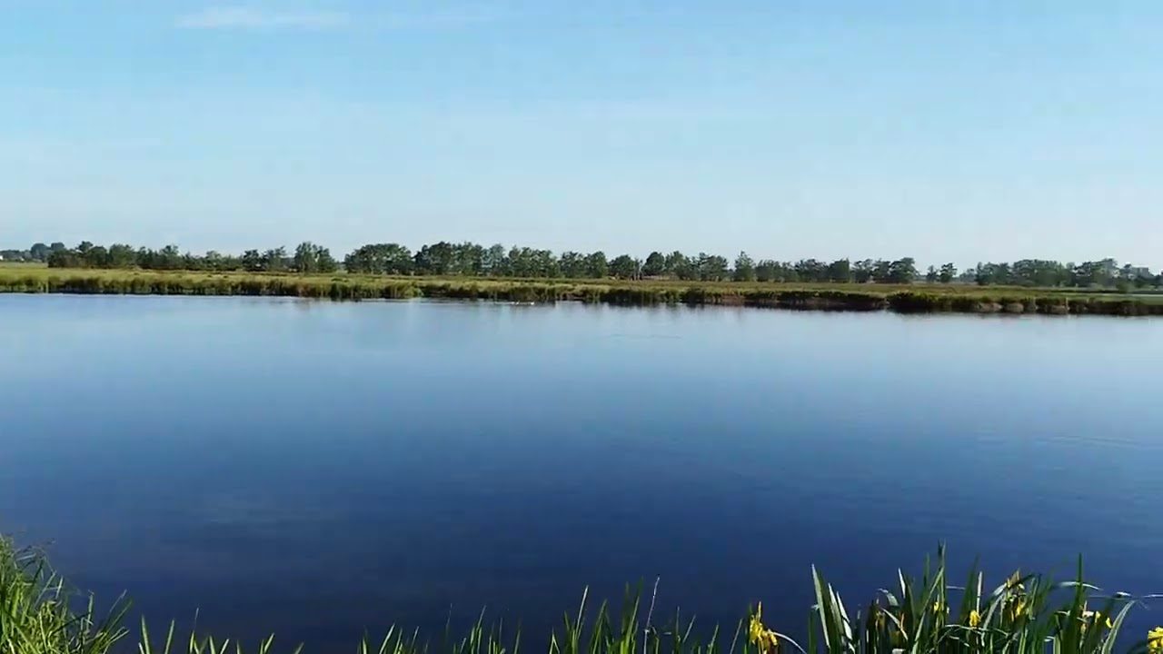 Poco X4 Pro: video-sample / camera test