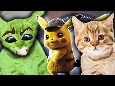 Pikaçu Kedi Özel Harekat Timine Katıldı (K.Ö.H.) - Uzaylı Konuşan Pisiler