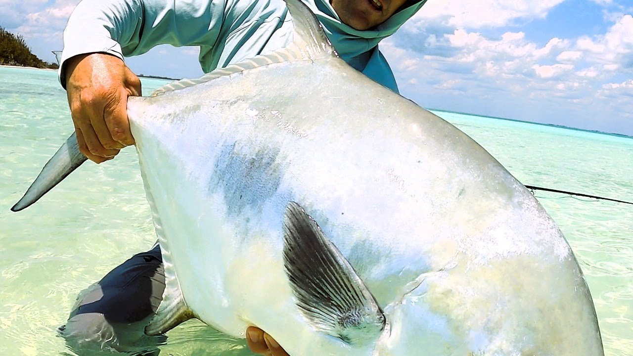 Bonefish, Tarpon, Permit and Snook // Beginner's Tips w/ Q & A - YouTube