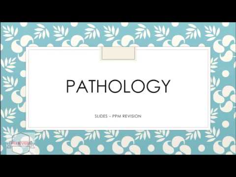 Slides Revision - Pathology - YouTube