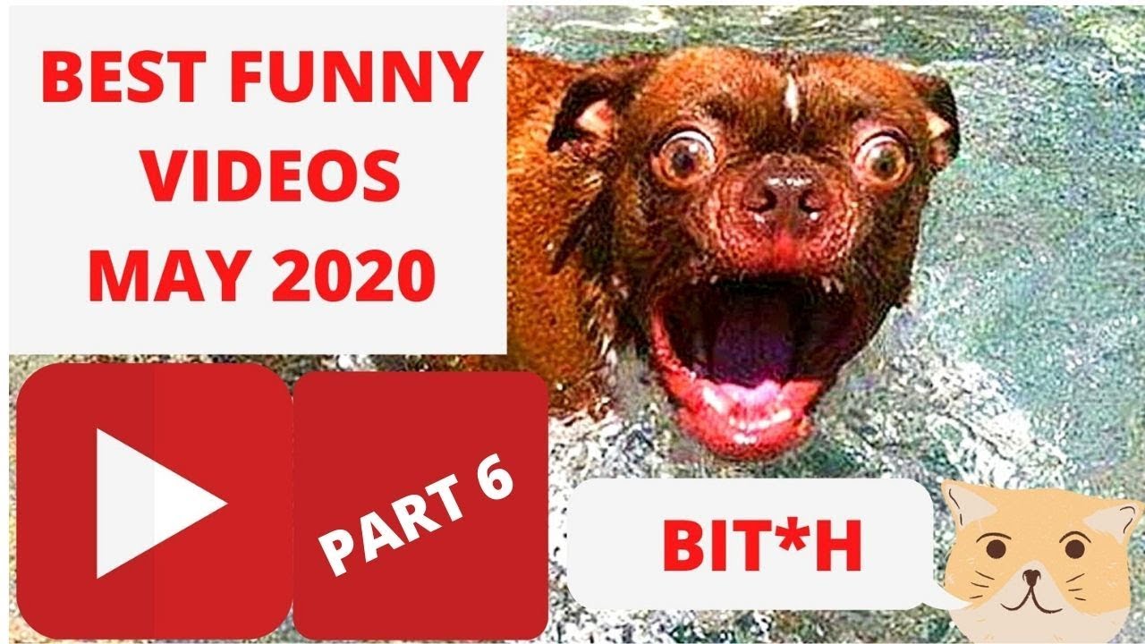 MUST WATCH!!!THE BEST CRAZY FUNNY VIDEOS 2020 COMPILATION (PART 6) TRY ...