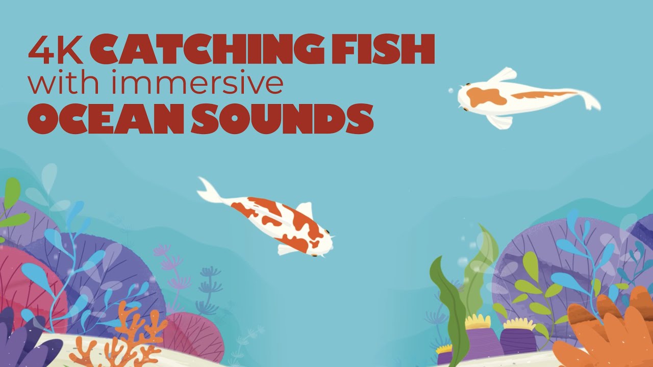 4K Catching fish with immersive ocean sounds - Video for cats - YouTube