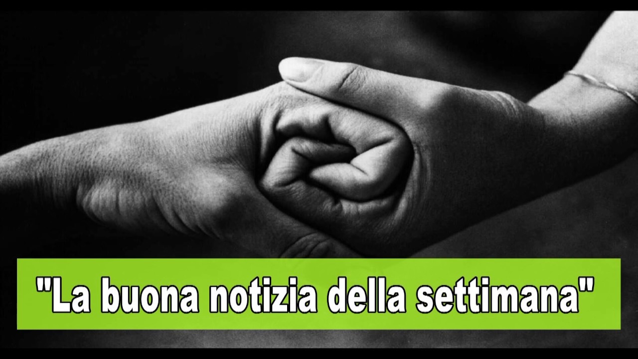 MONDO DEL VOLONTARIATO, CSV FOGGIA PREMIA I CITTADINI PIÙ SOLIDALI ...