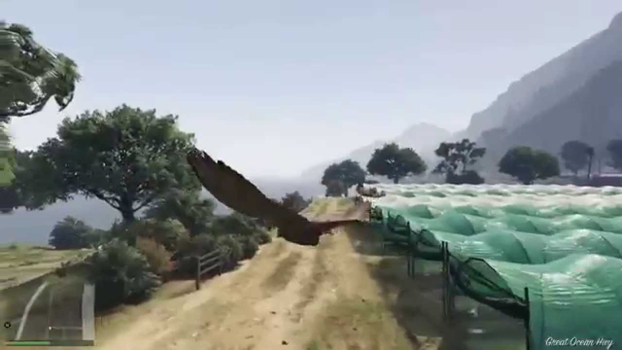 GTA V - Peyote Location 1: Play as a hawk - YouTube