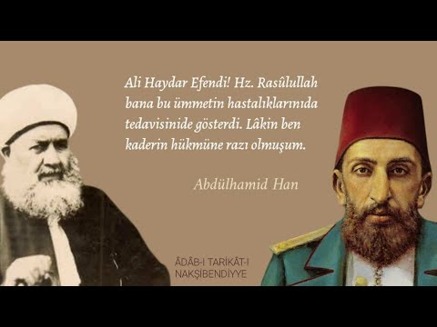Ali Haydar Ahıskavî Hz'lerinin, II. Abdülhamid Hân'ı ziyâreti!  #Abdülhamid #Payitaht #Istanbul
