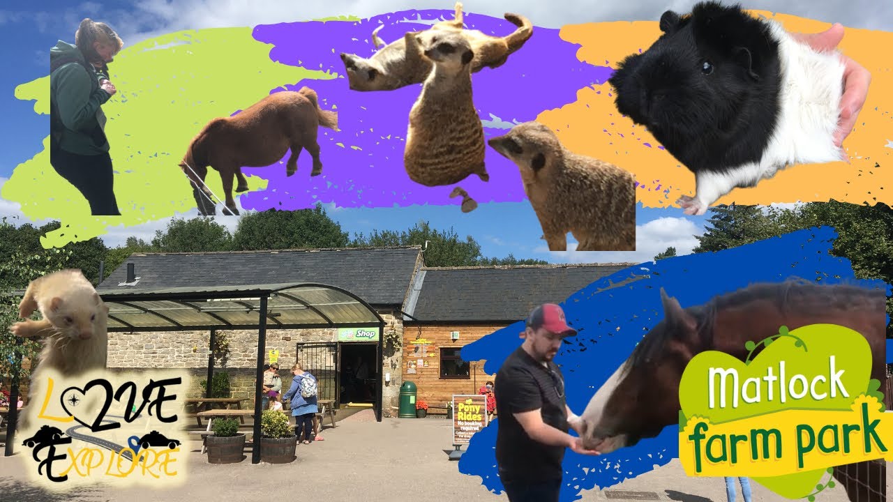 Matlock Farm Park Vlog | Hungry Hungry Horses! - YouTube