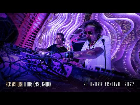 Ace ventura in Dub (feat. Gaudi) @ Ozora Festival 2022 (Full Set Movie)