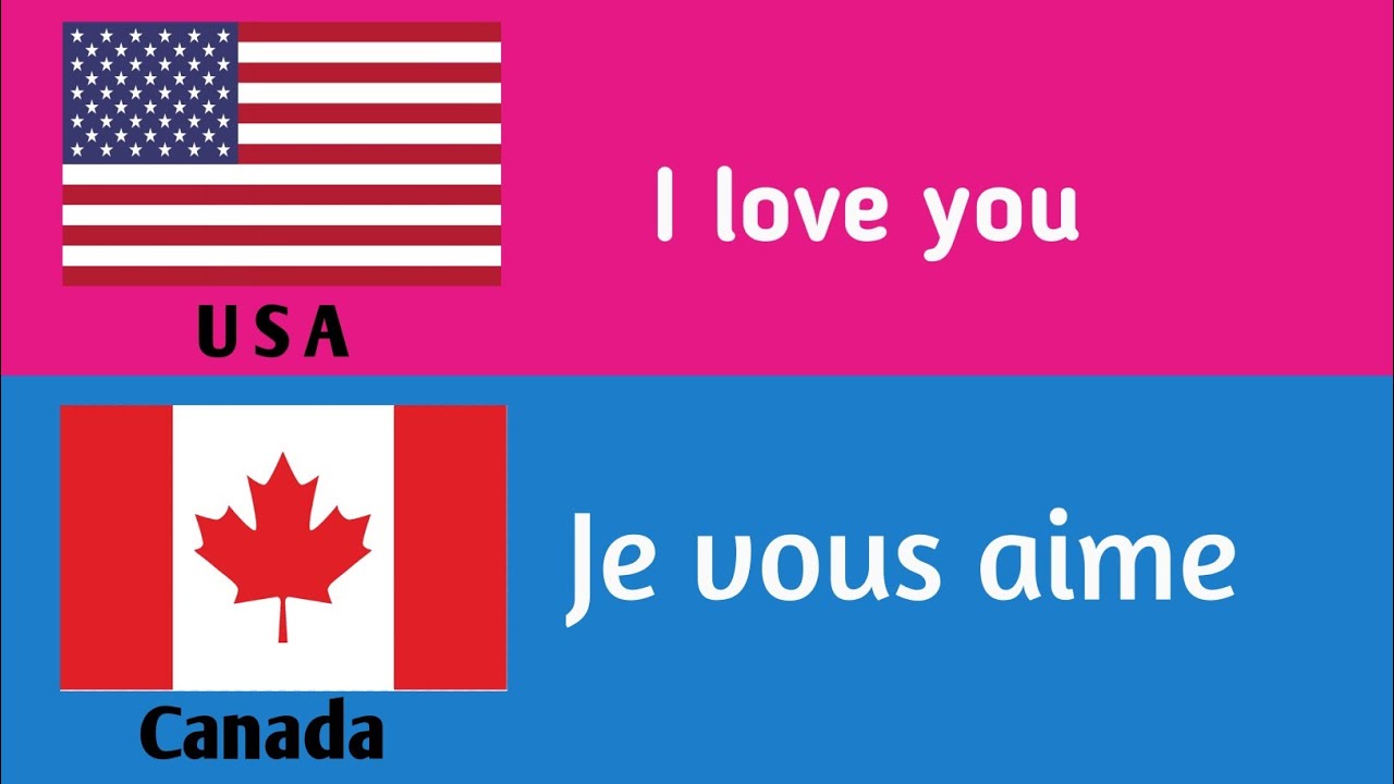 English and French language translation video for beginners ...