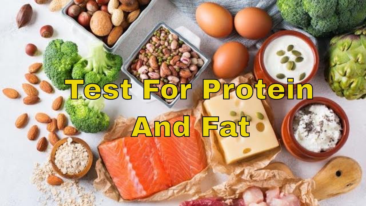 Class 6 Science | Ch-2 | Topic-3 | Protein And Fat Test | Components Of ...