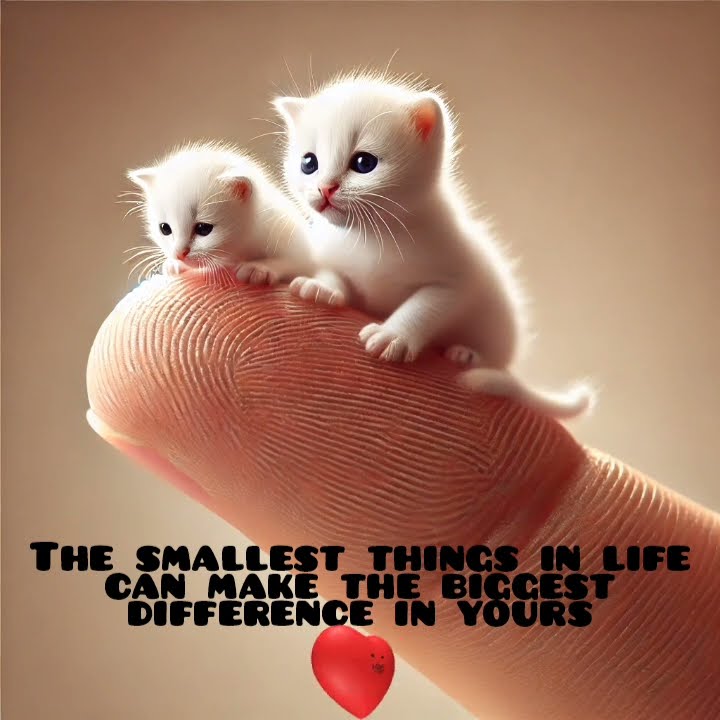 Tiny Differences - YouTube