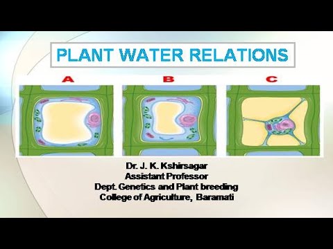 Crop physiology lecture no.- Plant water relationship part 1 by Dr. J ...