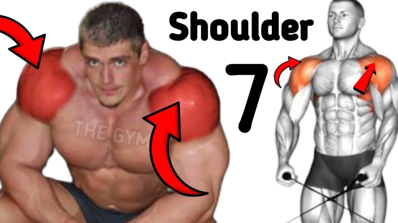7 Huge Shoulder Exercise { fastest workout } || My the Gym || - YouTube
