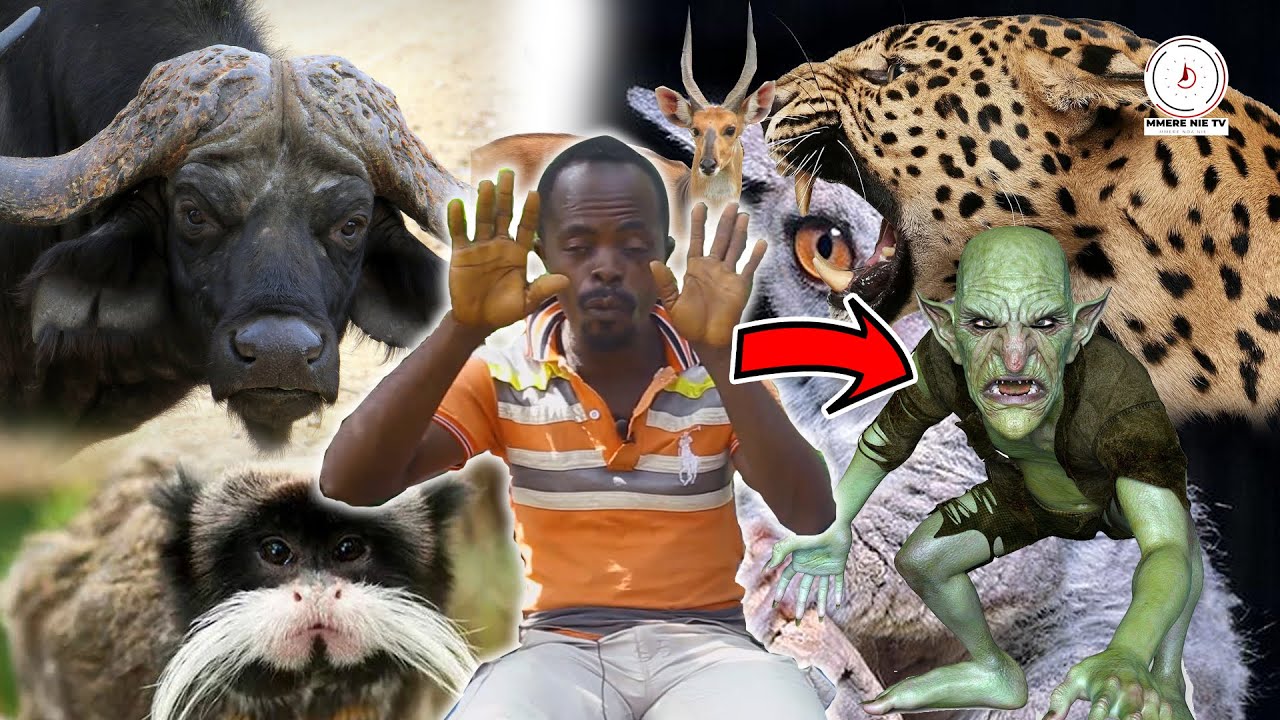 My scariest hunting moment; Cry of the angry DWARF who refused to ...