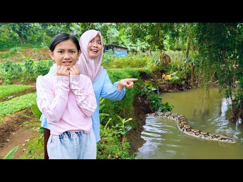 ADA ULAR BESAR DI KALI SAAT NYEROK IKAN 😱 DRAMA 