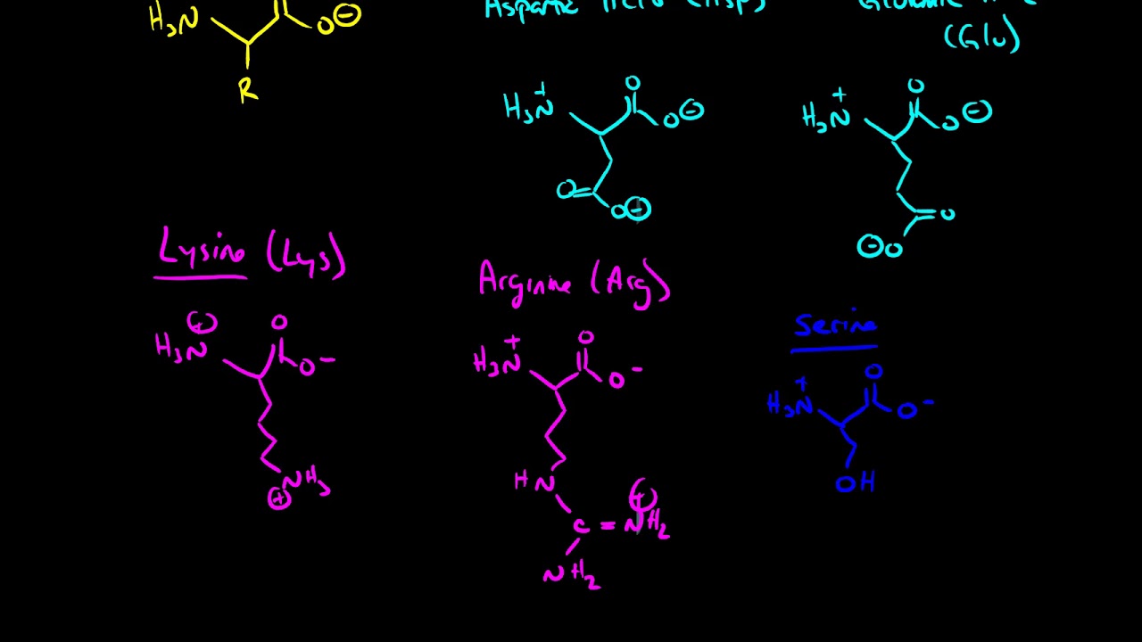 Amino Acid Side Chains - YouTube