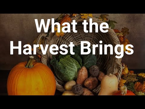 Harvest Songs for kids - ‘What the Harvest Brings’ karaoke - YouTube