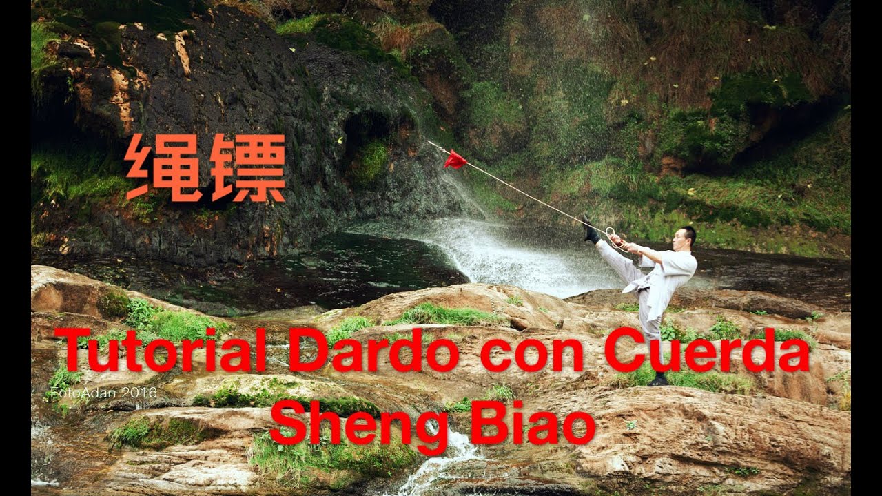 TUTORIAL DARDO CON CUERDA – SHENG BIAO /绳镖教学#shaolinvalencia#shengbiao# ...