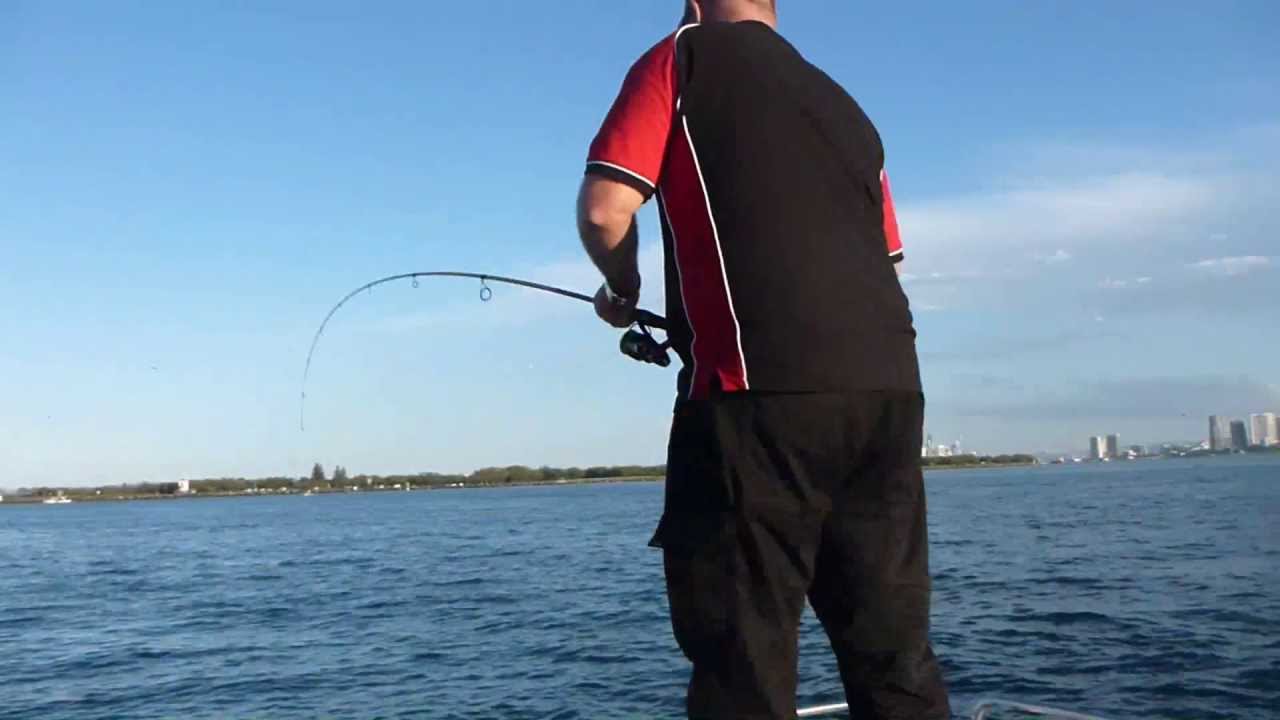 SeawayFishing.info April Seaway Highlights - YouTube