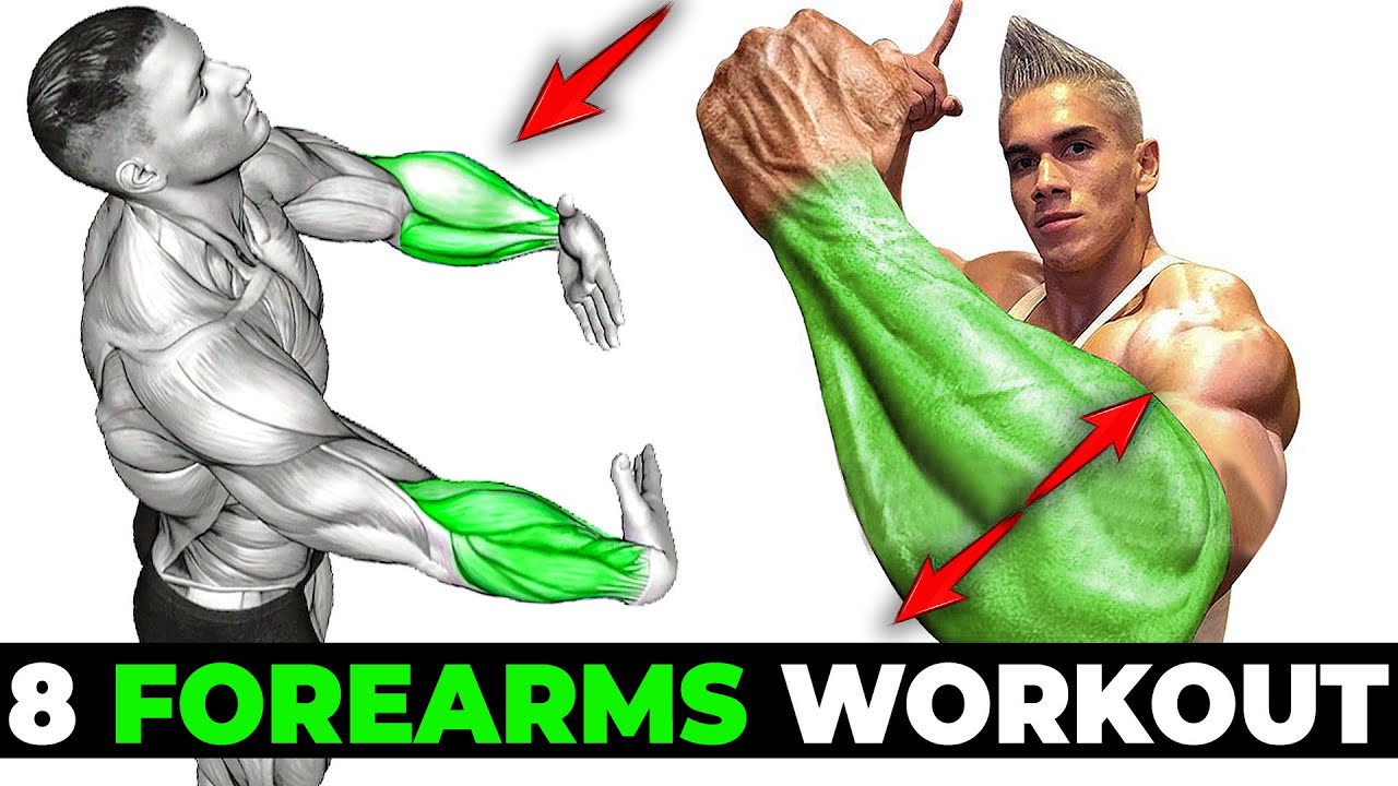 8 BEST Exercises for Bigger Forearms Workout - YouTube