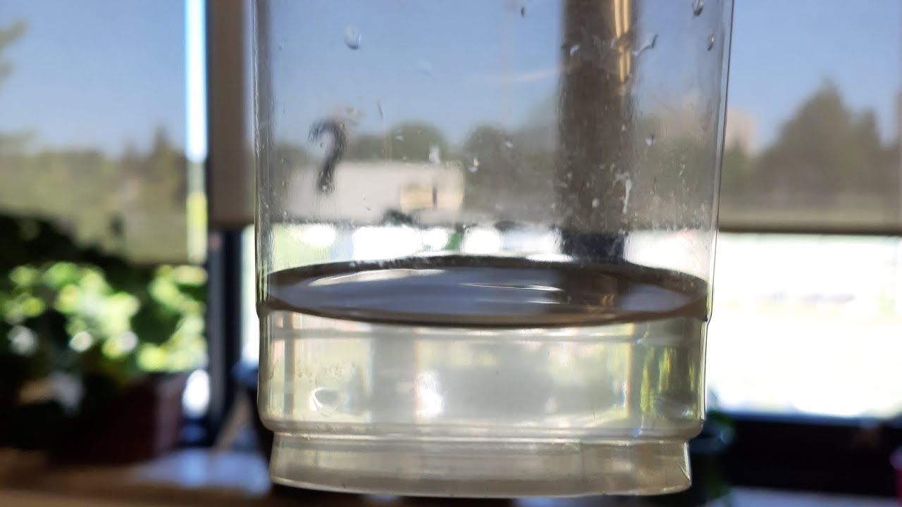 Water Filtration Science Project - YouTube