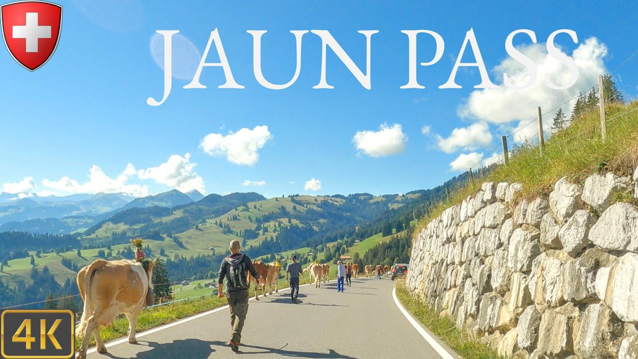 Driving Switzerland 🇨🇭 | Jaun pass (cow traffic jam down) 4K Scenic ...