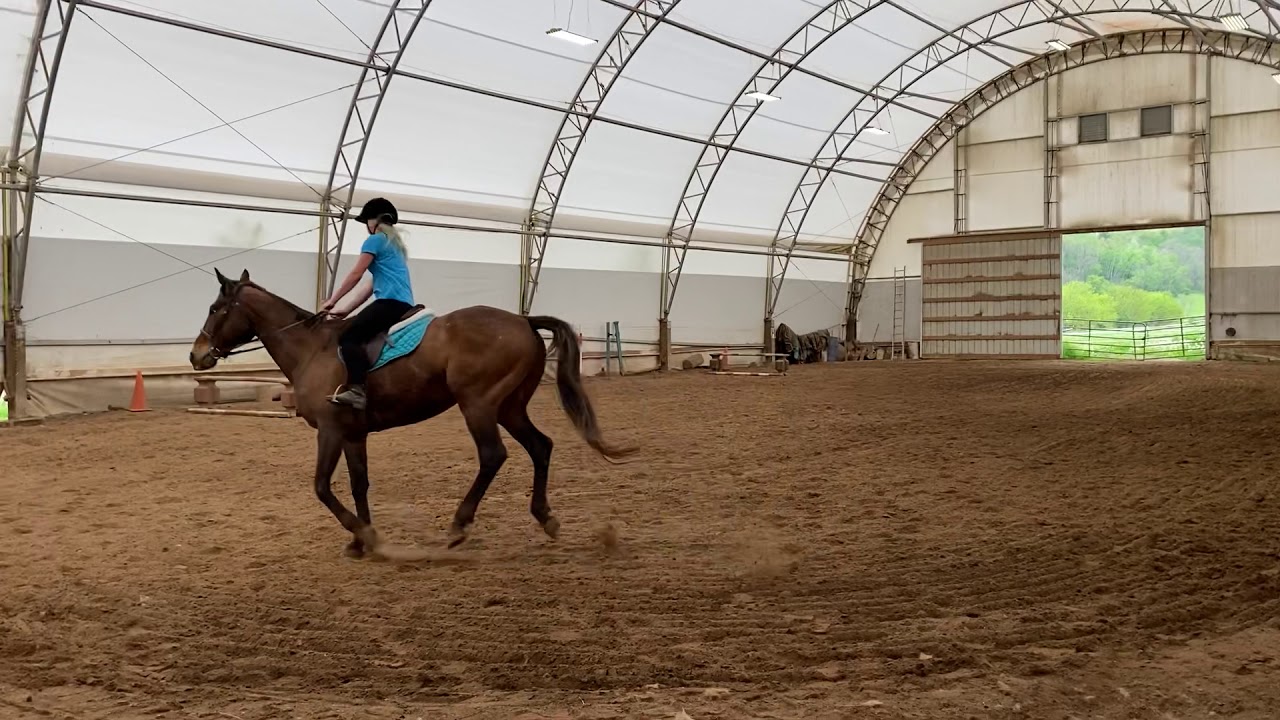 Children’s hunter hack - YouTube