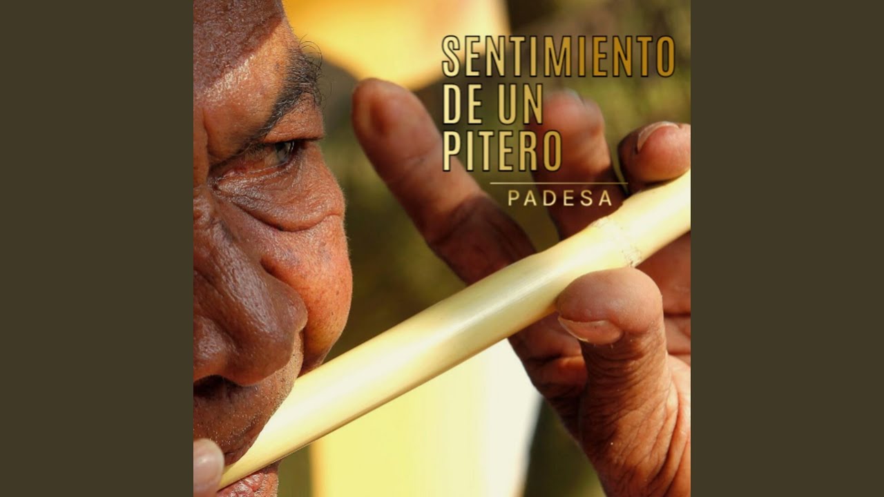 Sentimiento de un pitero - YouTube