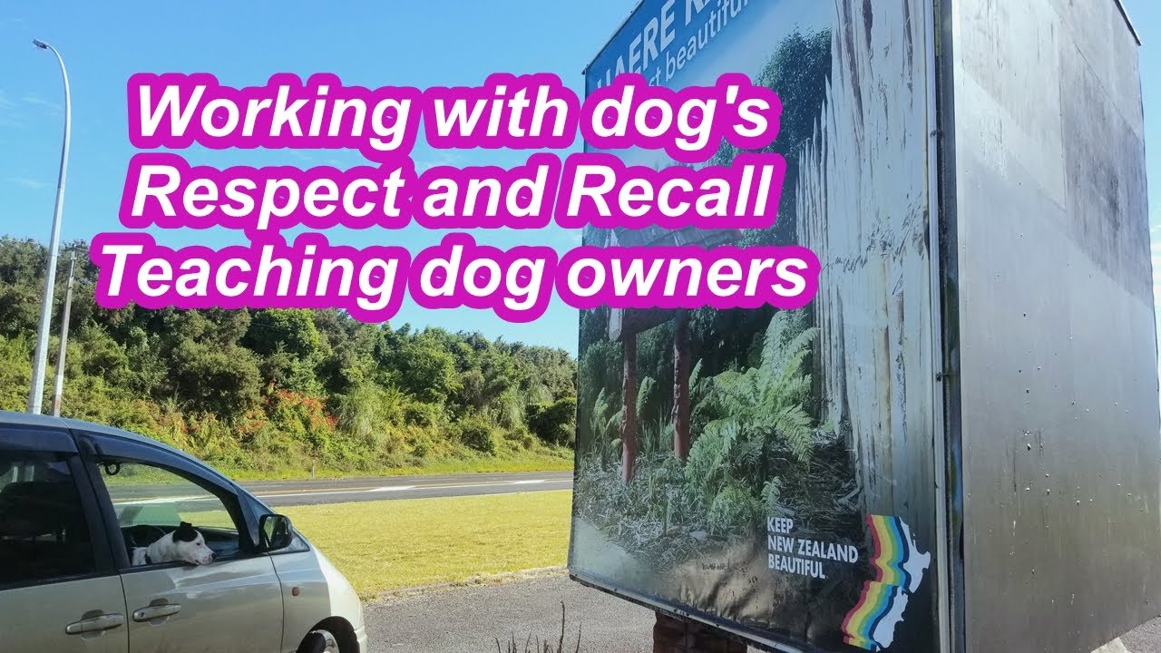 Working with dogs Respect and Recall - YouTube
