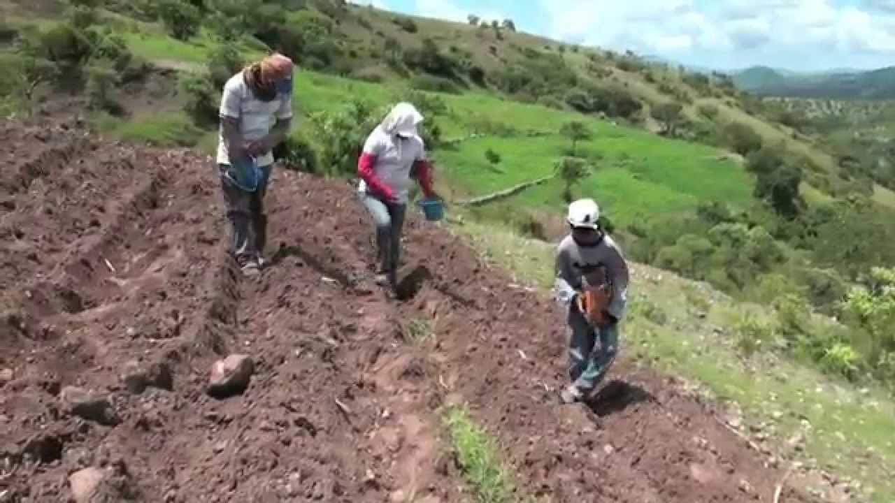 3. Familia campesina - YouTube