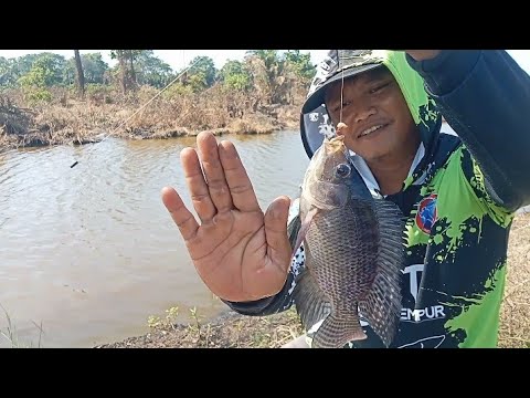 Perdana kolam pancing bg RONI/SANTO minggu 12 mei 2024 - YouTube