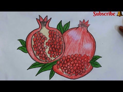 Pomegranate drawing || how to draw pomegranate || anar ki drawing ...