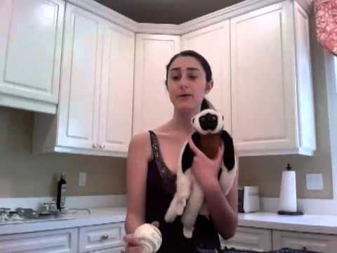 Amy Rifkin's What's In Your Bag Speech - YouTube