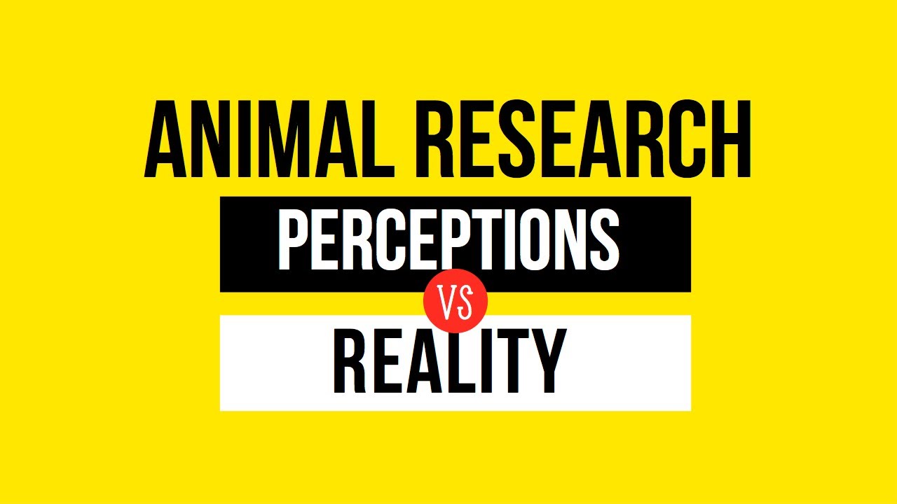 Animal Research Perceptions vs Reality : A Digital Flipbook (2020 ...