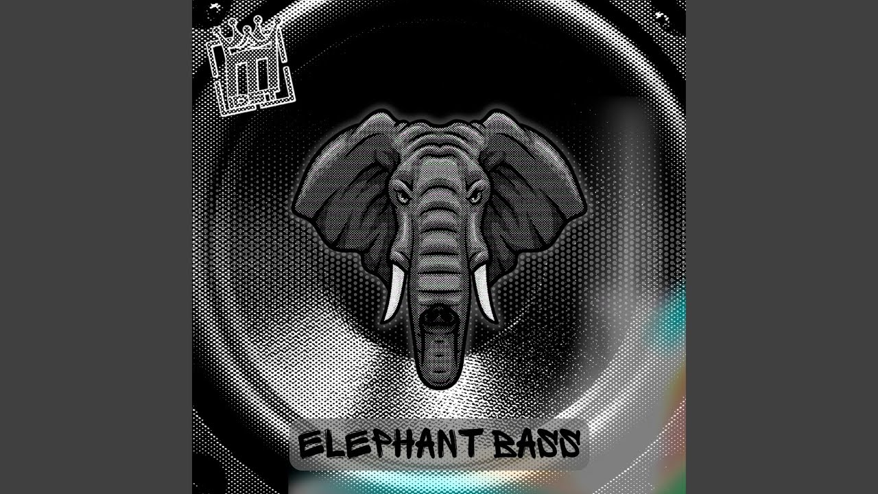 Elephant Bass - YouTube