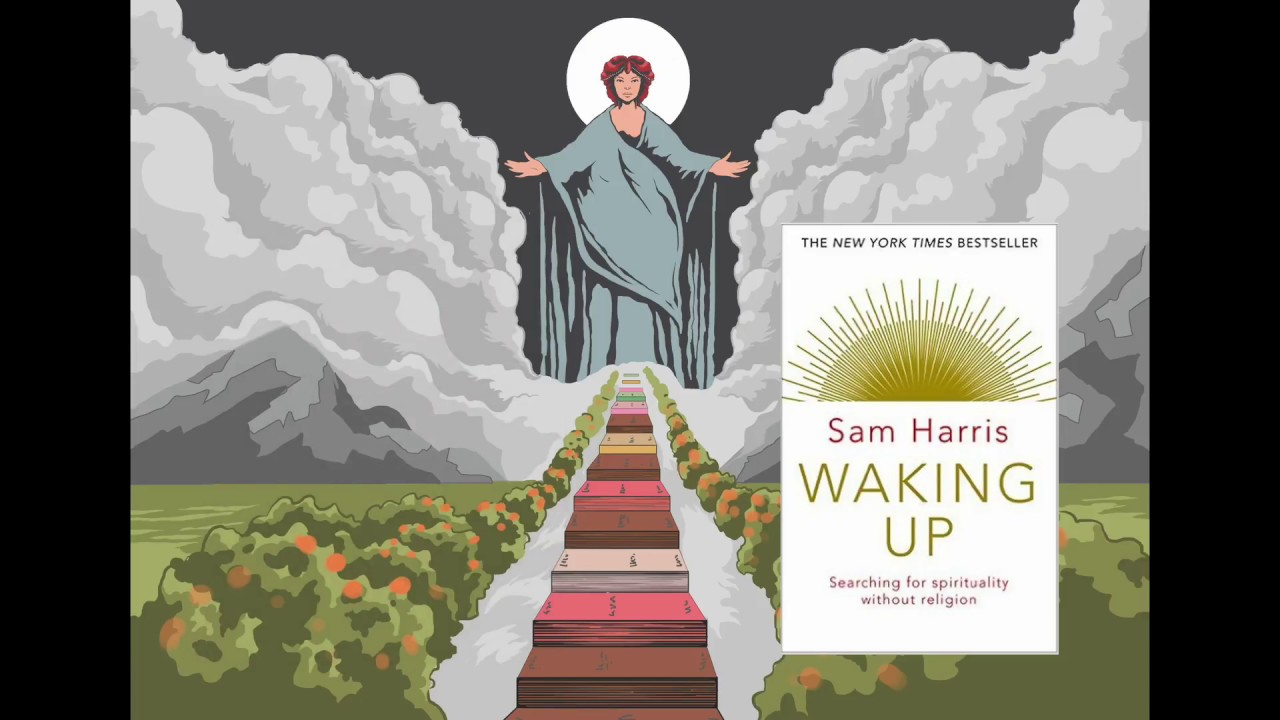 Consciousness and the Self: 'Waking Up' by Sam Harris Review - YouTube
