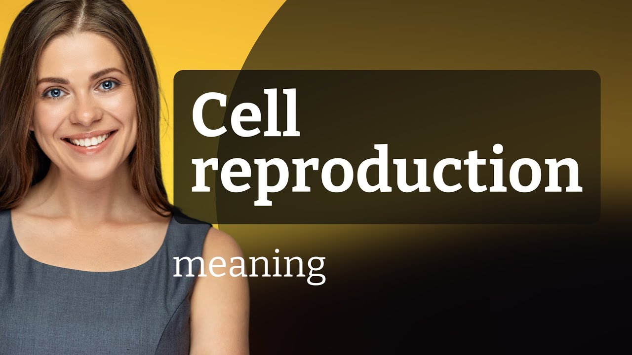 Unlocking the Secrets of Life: Cell Reproduction Explained - YouTube