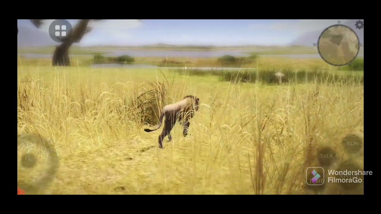 Ultimate lion simulator 2 android gameplay - YouTube