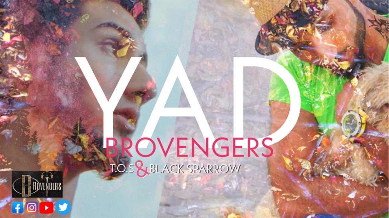 YAD | Black Sparrow ft T.o.S (THiEF Of SaDnEsS)| Official audio ...