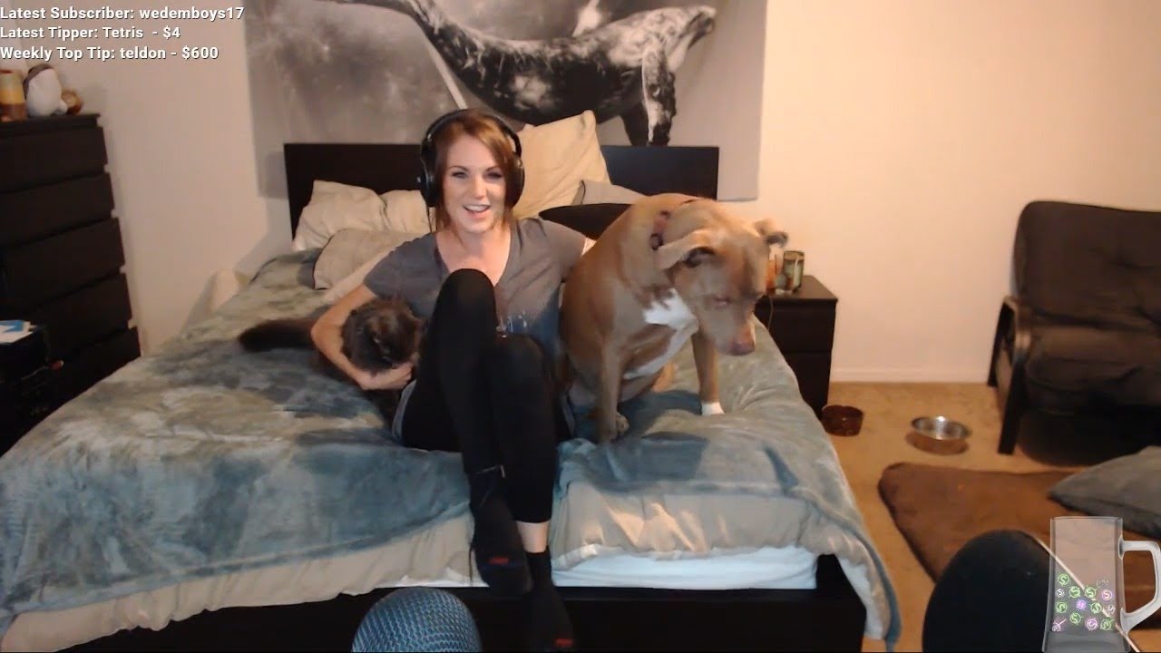 Sarahgeee - One year anniversary of streaming - compilation - YouTube