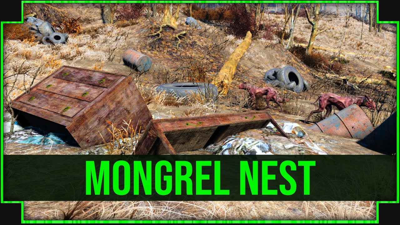 Mongrel Pack in Fallout 4 - A Guide to this Perilous Unmarked Location - YouTube