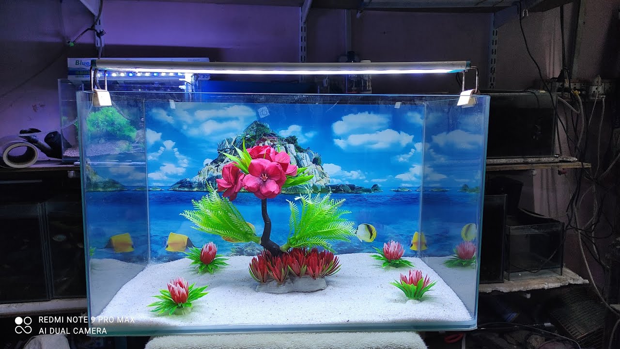 Fish Tank Decorations ideas💡with artificial Plant 🌱 | Fish Tank Setup ...
