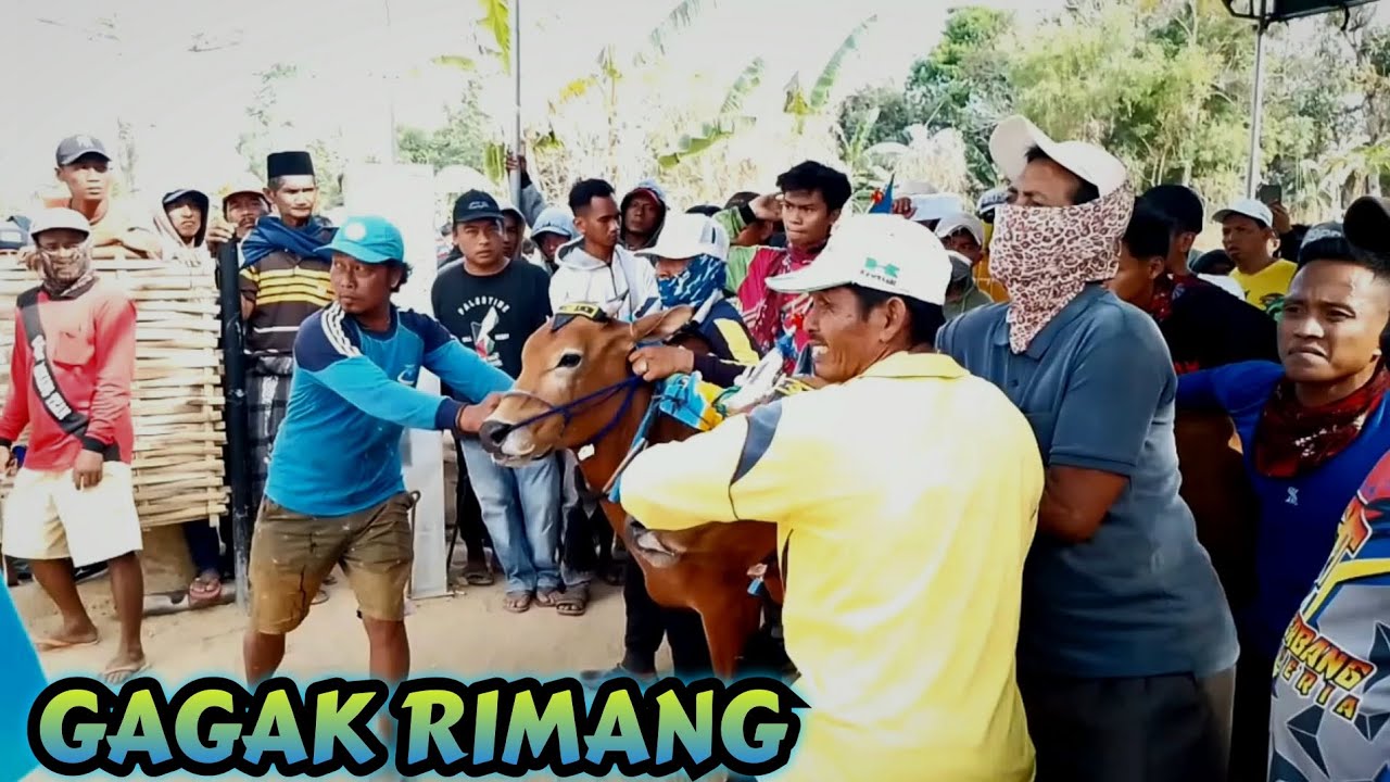 Salah Satu Andalan Team GAGAK RIMANG Di Event HUT SER NASER/PAKU ALAM ...