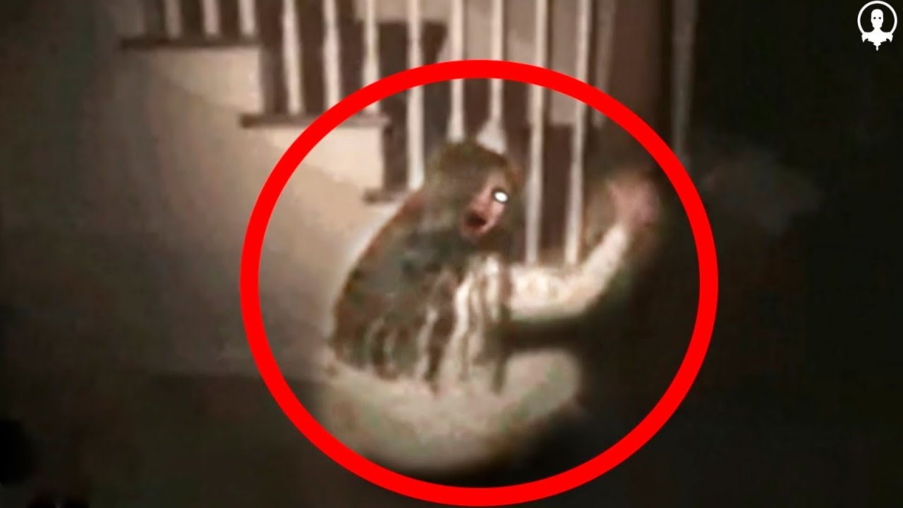 5 videos de TERROR MAS EXTREMOS Nivel 10000 Que NO te Dejaran DORMIR ...