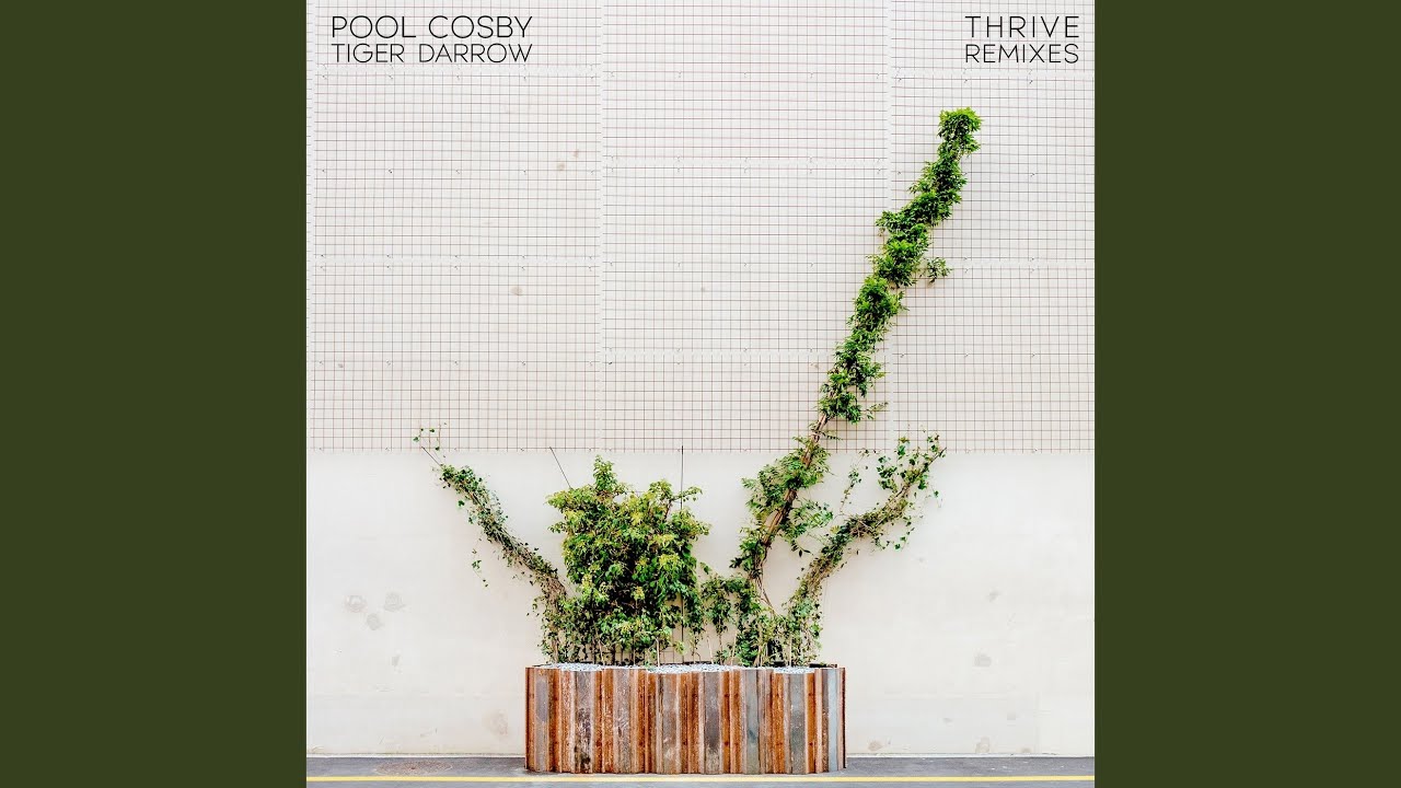 Thrive (Birocratic Remix) (feat. Tiger Darrow) - YouTube Music