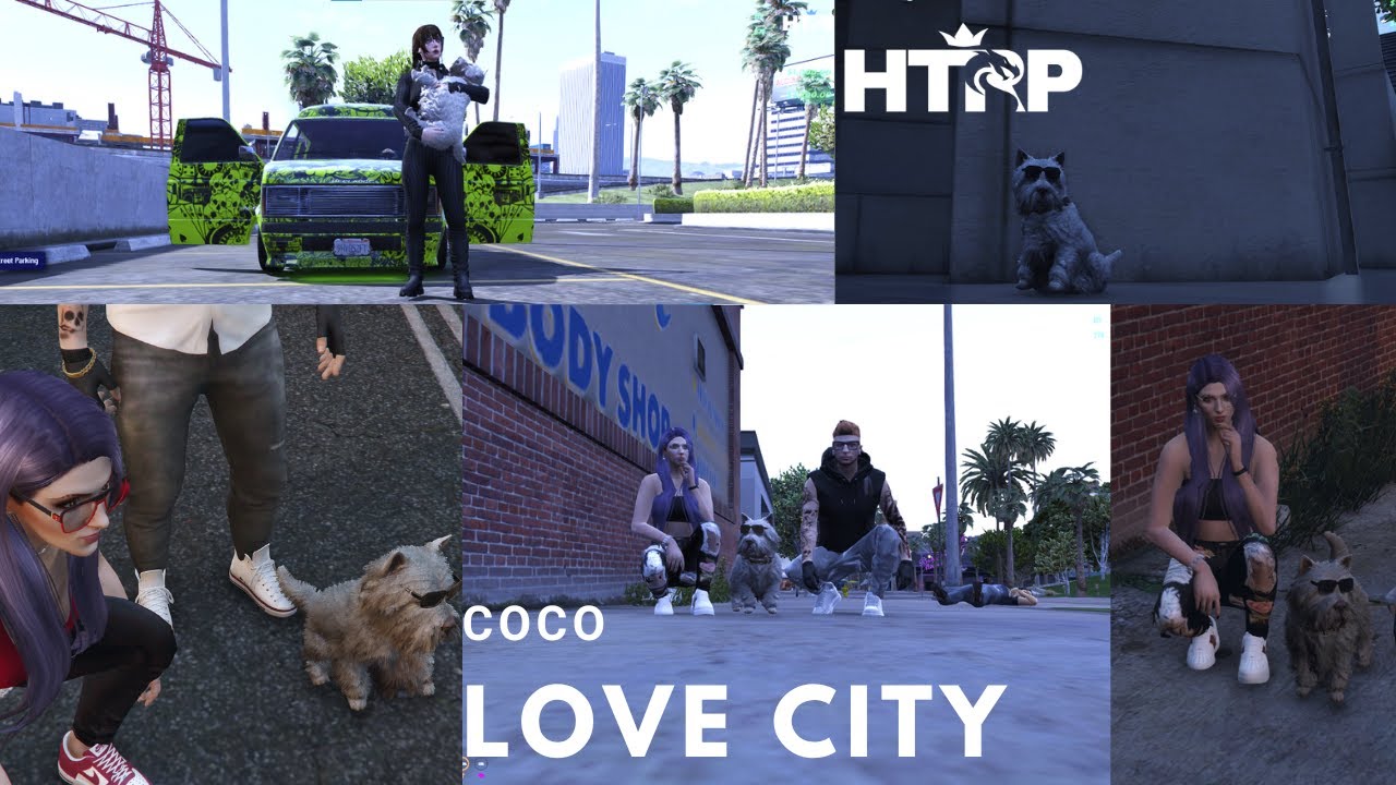 COCO BACK AFTER 2 DAY HTRP 4.0 | Live | Lets Go !!!! #htrplive #gta5 #htrp #htrplive #fun #dog ...