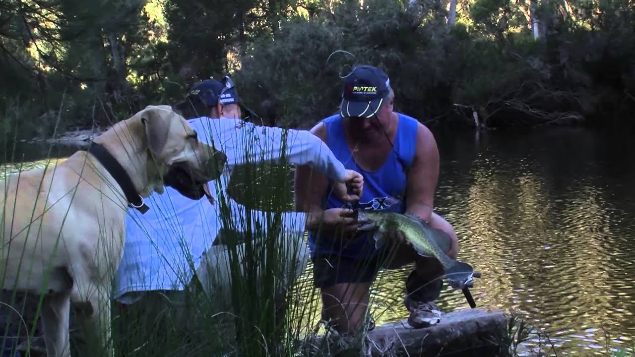 Fishing for Murray Cod on Surface Lures - REEL ACTION TV - YouTube