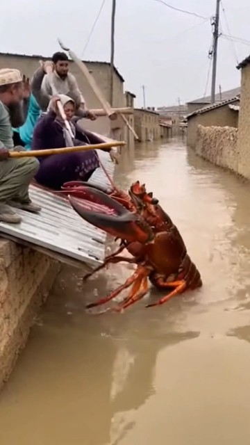 Giant Lobsters Attack People in Uzbekistan - YouTube