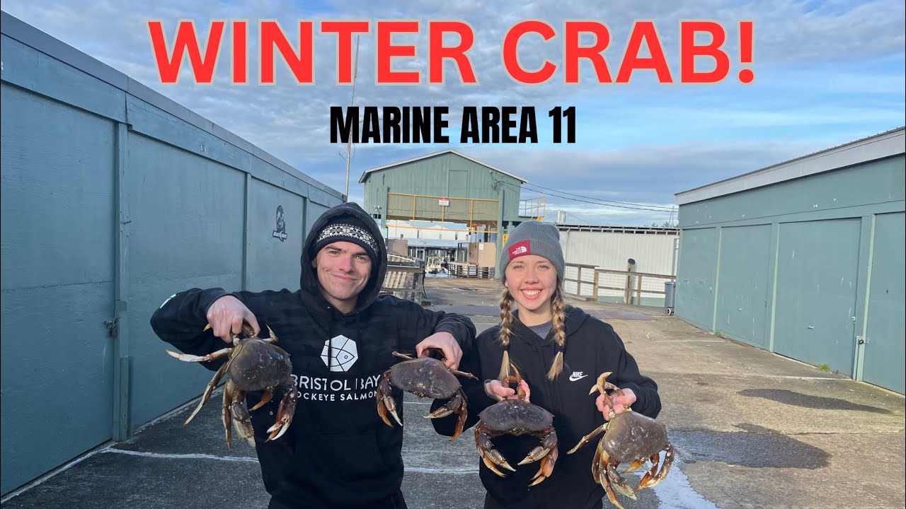 Puget Sound Winter Crabbing: Catch, Clean & Cook Dungeness Crab! - YouTube